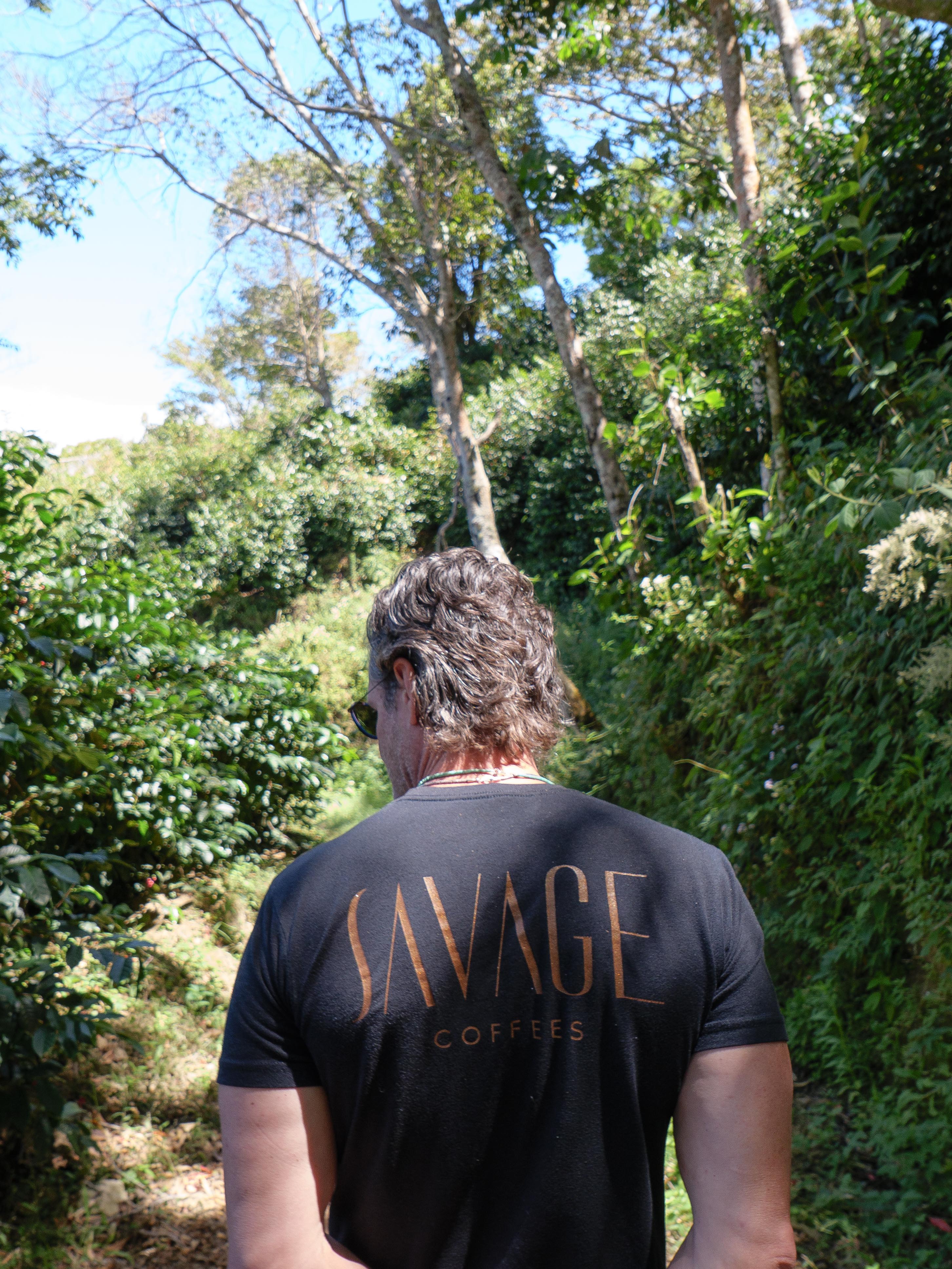 FINCA DEBORAH ILLUMINATION GEISHA CARBONIC MACERATION WASHED | Loquat ...